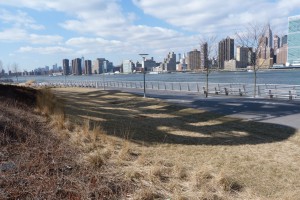 LONG ISLAND CITY IS GROUND ZERO FOR SWINGERS • lictalk.com